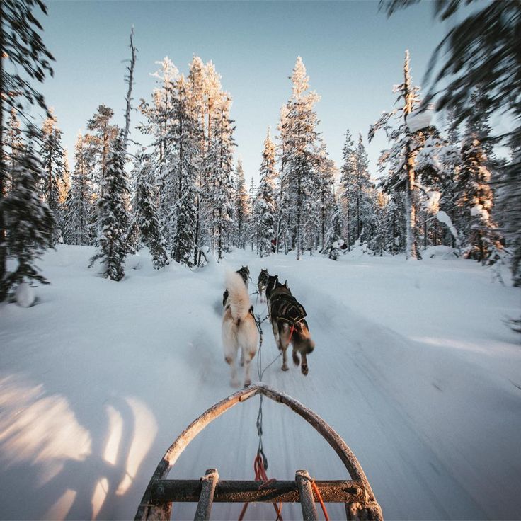 Finland- cold season activities – A CUP OF NOVELTY