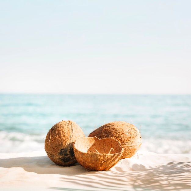 Coconut for a fresh summer – A CUP OF NOVELTY